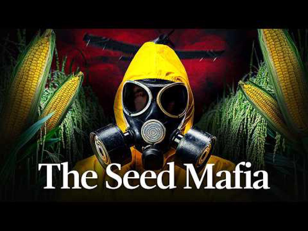 Monsatan's monopoly · Nurasyl's Modular Blog